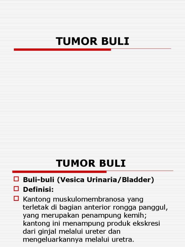 Karsinoma Buli Buli | PDF