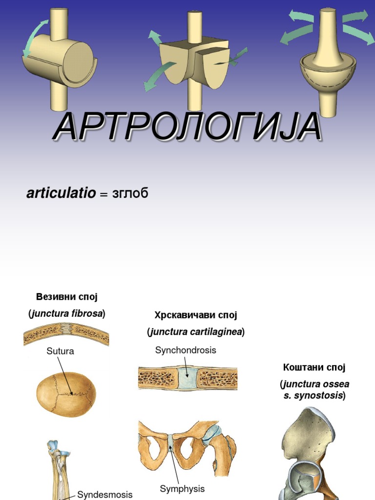 Artrologija 2 | PDF