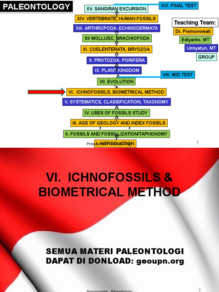 6-Ichnofossils & Biometry Method | PDF