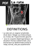 Anatomi de La Rate | PDF | Rate | Pancréas