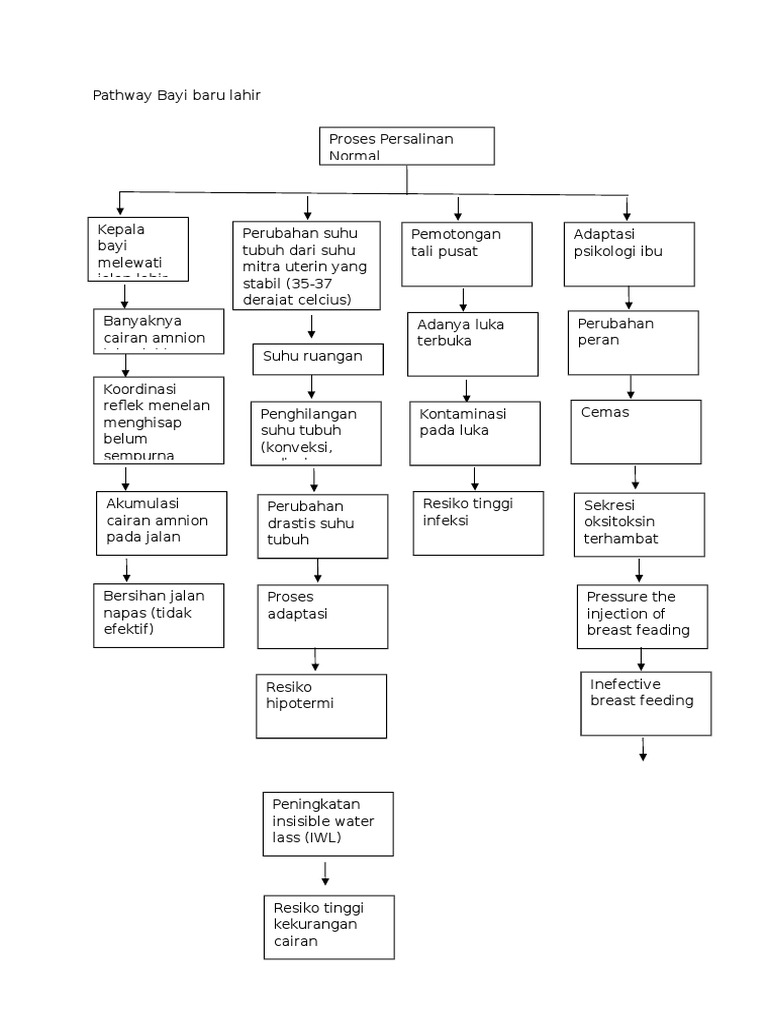 Pathway Bayi Baru Lahir | PDF