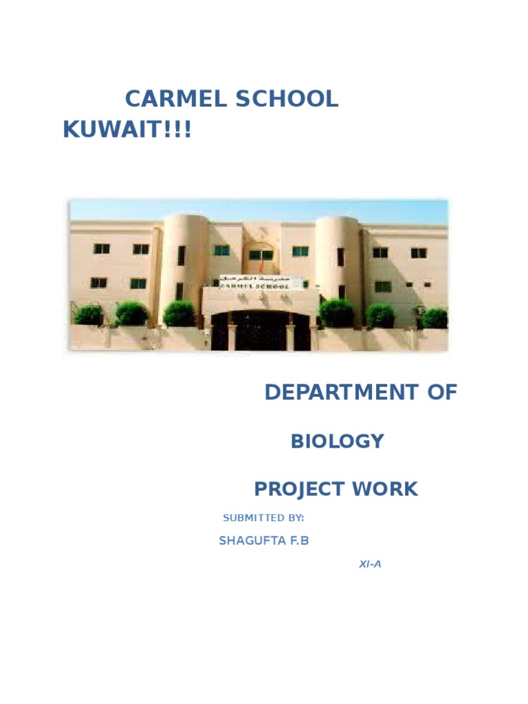 Biology Investigatory Project 2015 | PDF | Alzheimer's Disease ...