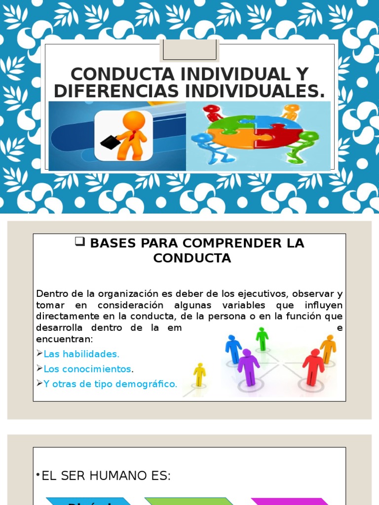 Presentacion Expo Orga Conducta Individual | PDF