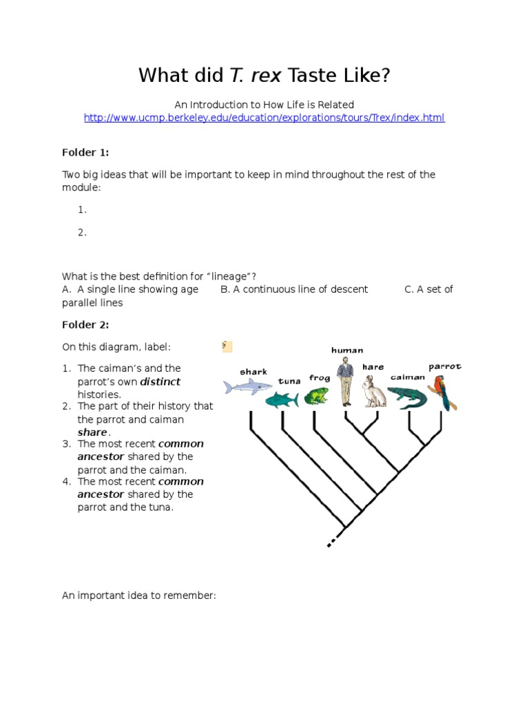 T. Rex Taste and Evolutionary Links | PDF | Phylogenetic Tree ...
