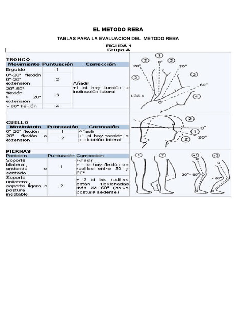 Tablas Del Metodo Reba | PDF