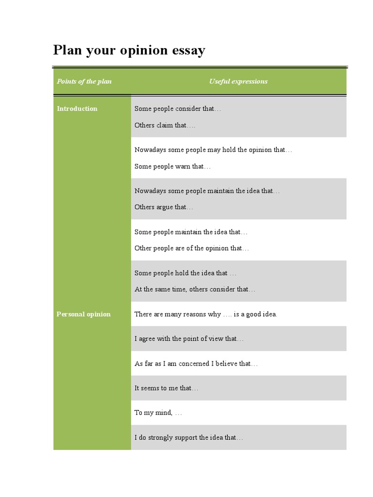 A Guide to Developing an Effective Opinion Essay Structure | PDF