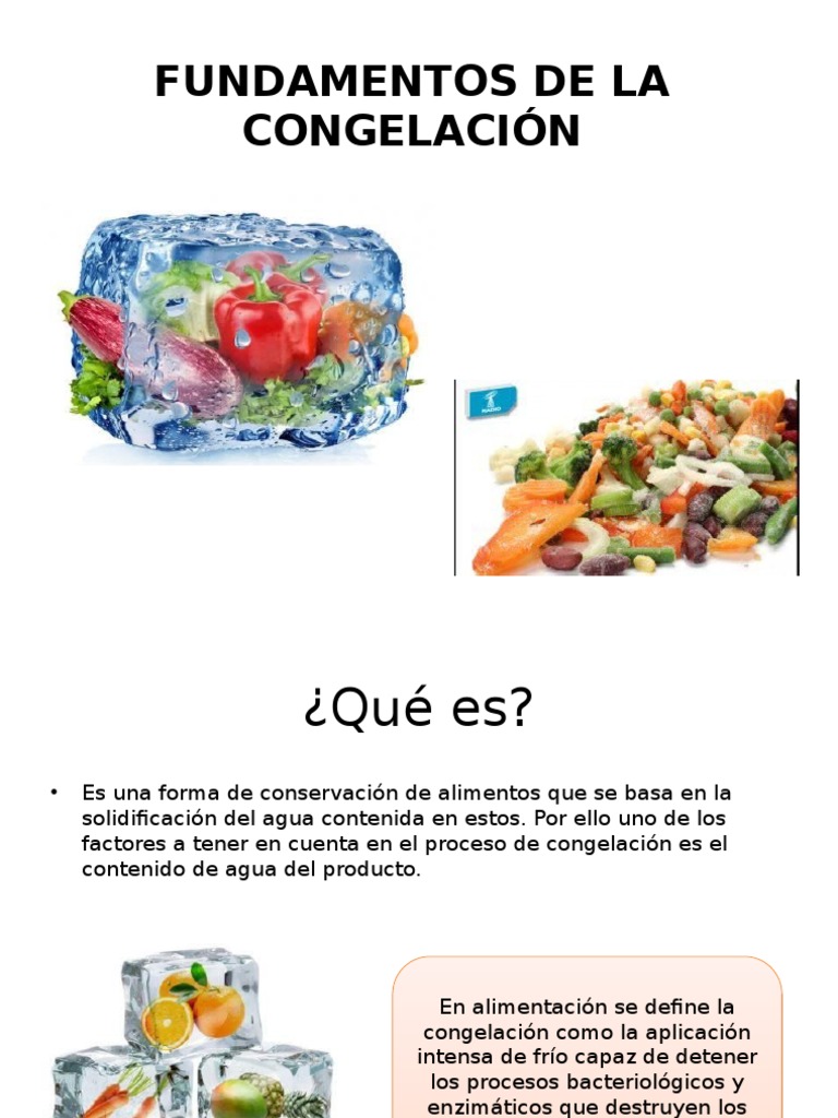 Fundamentos de La Congelación | PDF | Nucleación | Cristalización