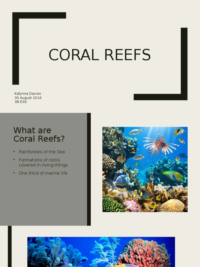 Coral Reefs: Kalynna Davies 30 August 2016 3B Ess | PDF