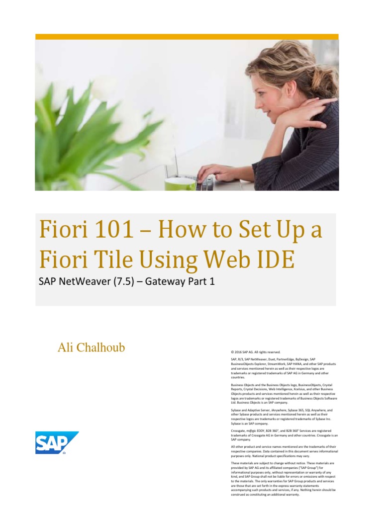 How To Configure Fiori Tile Step by Step Part1 PDF | Download Free PDF ...
