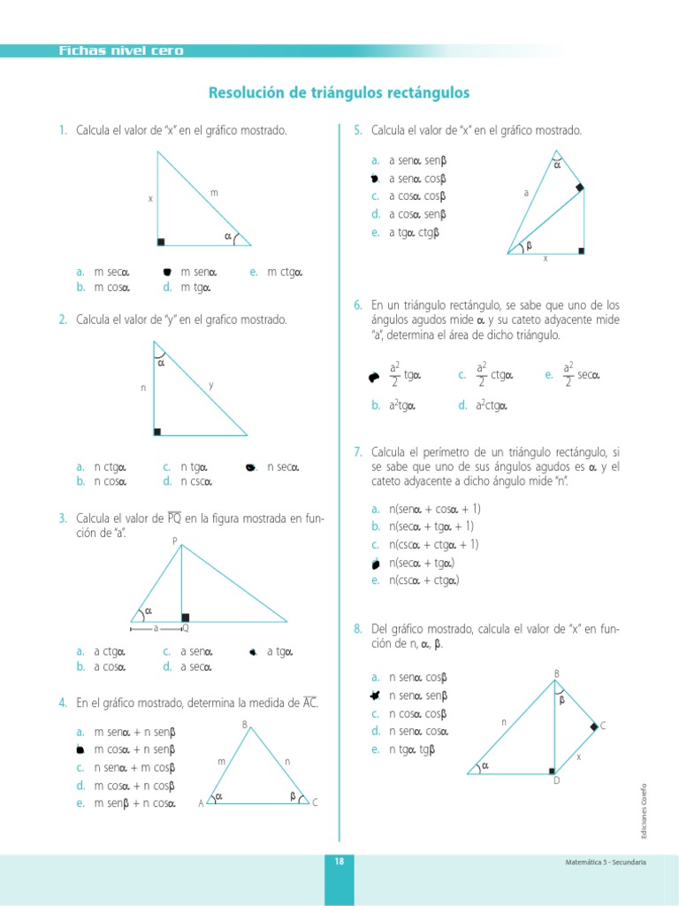 Resolucion de Triangulos Rectangulos | PDF