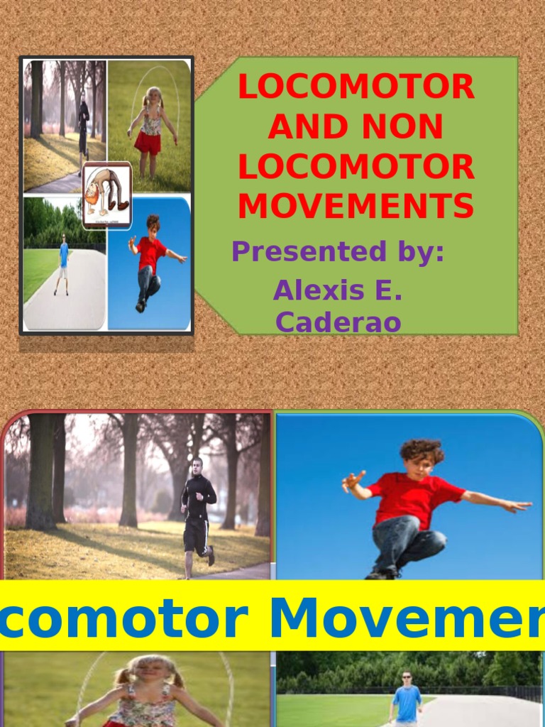 Locomotor and Nonlocomotor Movements