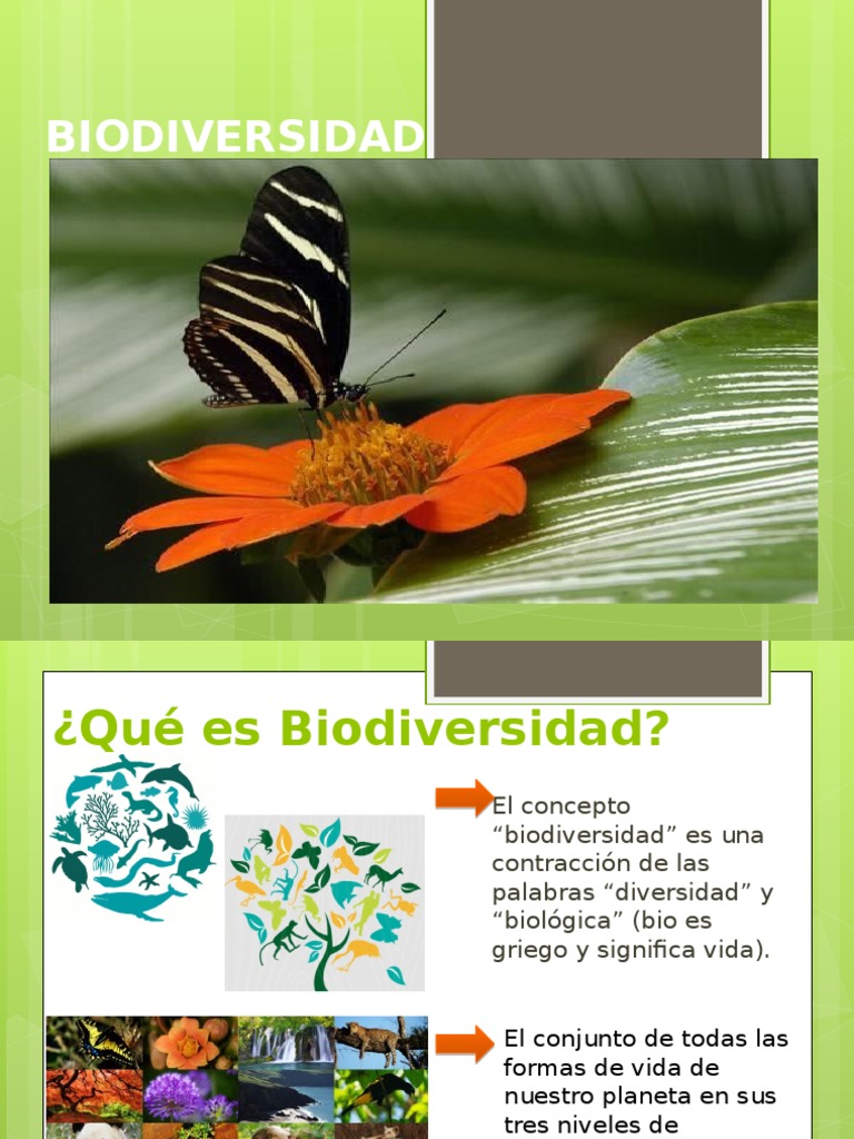 Biodiversidad Presentación | PDF | Biodiversidad | Ecosistema