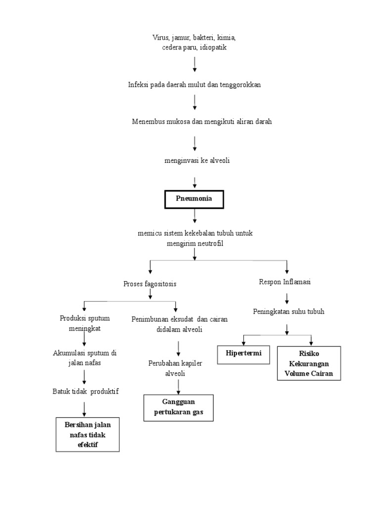 Pathway Pneumonia | PDF