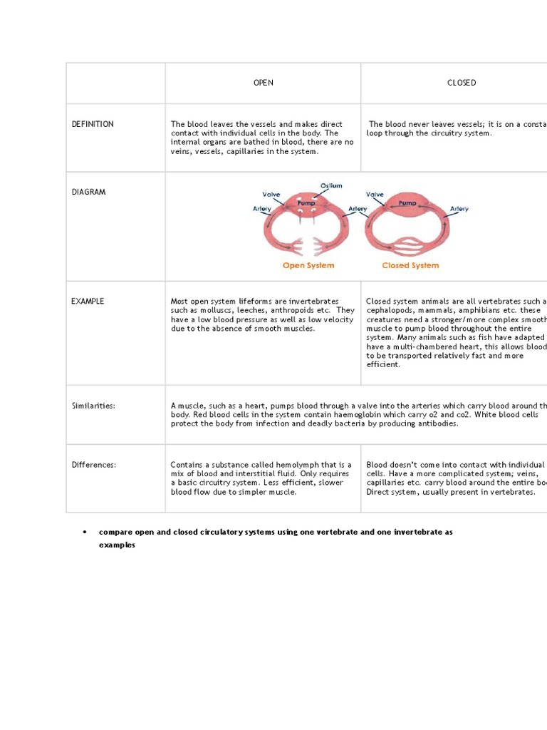Open vs Closed Circulatory Systems Explained | PDF | Science & Mathematics