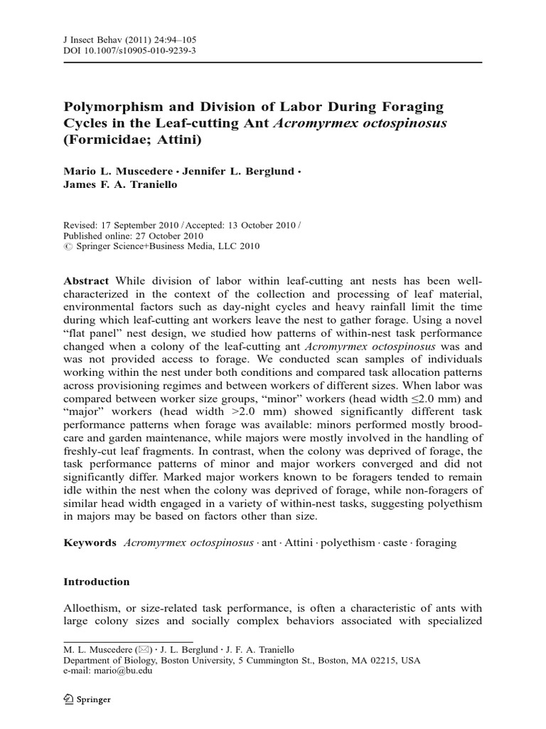 Polymorphism Ants | PDF | Ant | Science