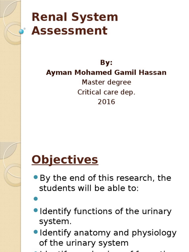 Comprehensive Renal System Assessment | PDF | Creatinine | Kidney