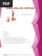 ESÒFAGO (Anatomía, Embriología, Histología y Fisiología) | PDF ...