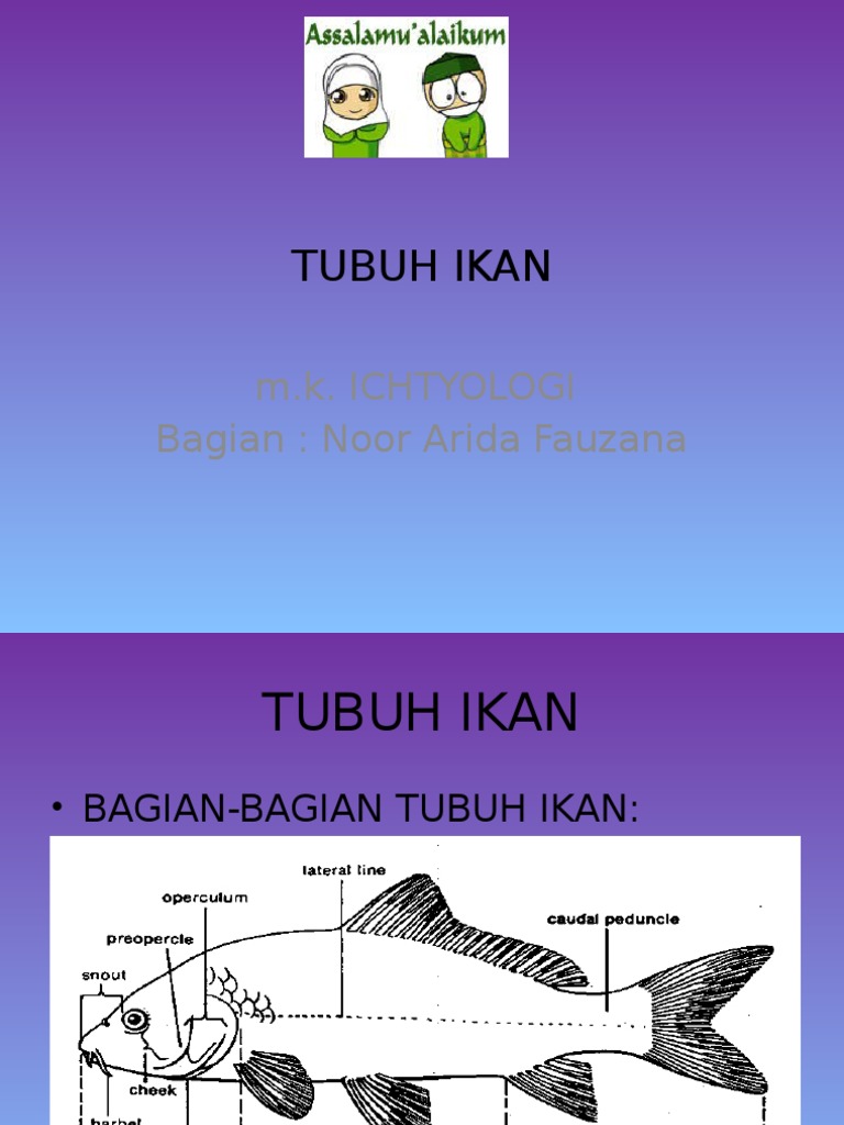Morfologi Ikan | PDF