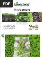 LSU-Ag Planting Guide | PDF | Vegetables | Fertilizer