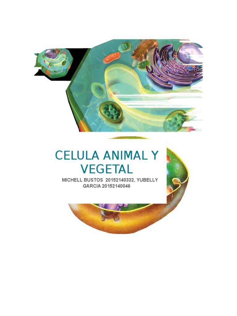 Celula Animal Y Vegetal: MICHELL BUSTOS 20152140332, YUBELLY GARCIA ...