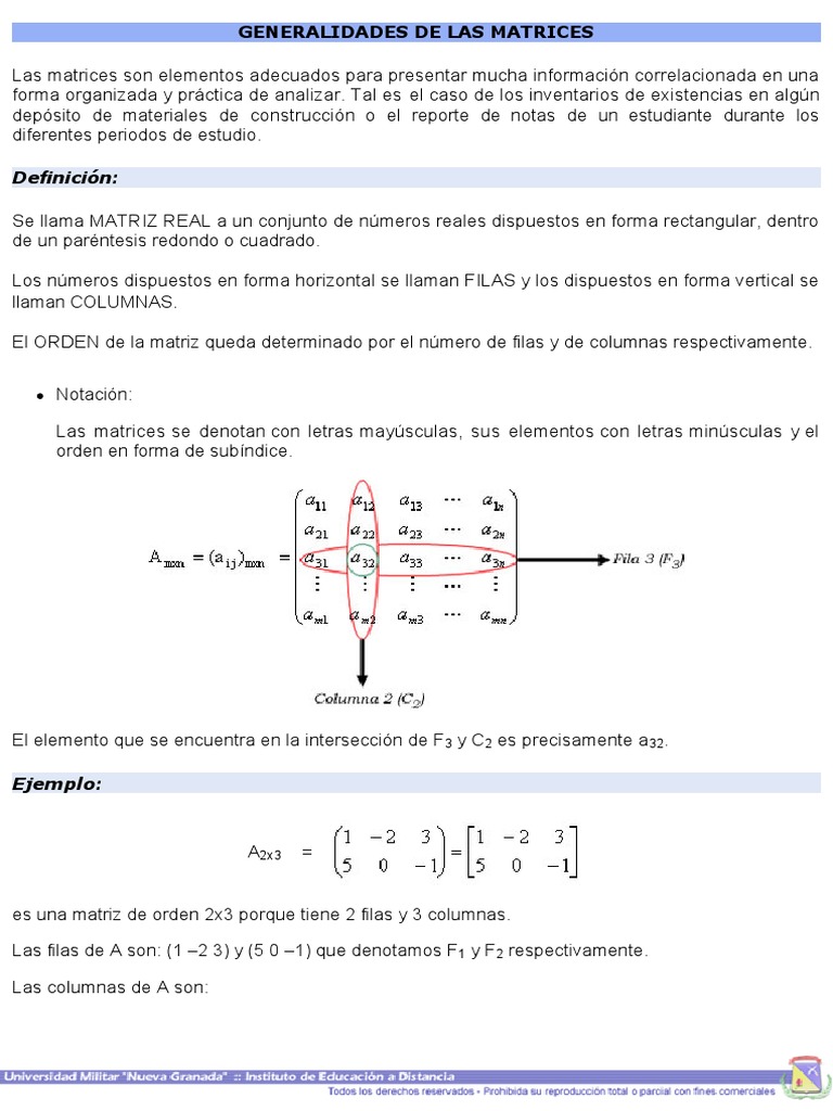 Generalidades de Las Matrices | PDF