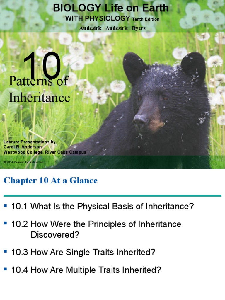 Patterns of Inheritance: With Physiology | PDF | Zygosity | Dominance ...