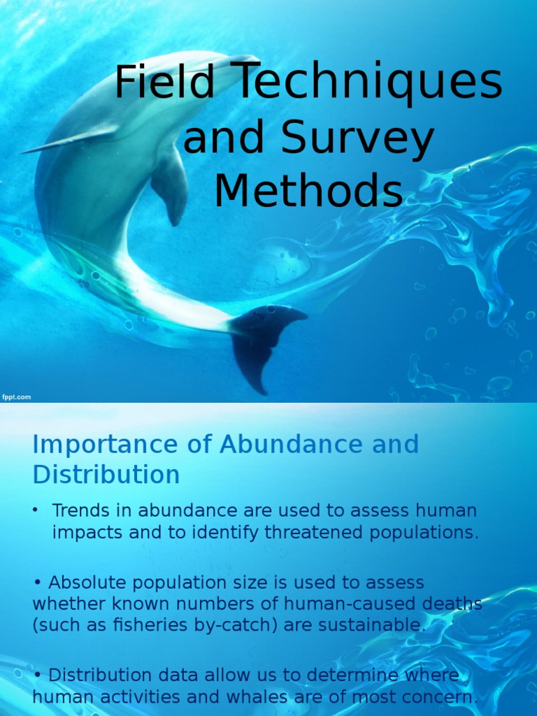 Cetacean Abundance Survey Techniques | PDF | Marine Mammals | Survey ...