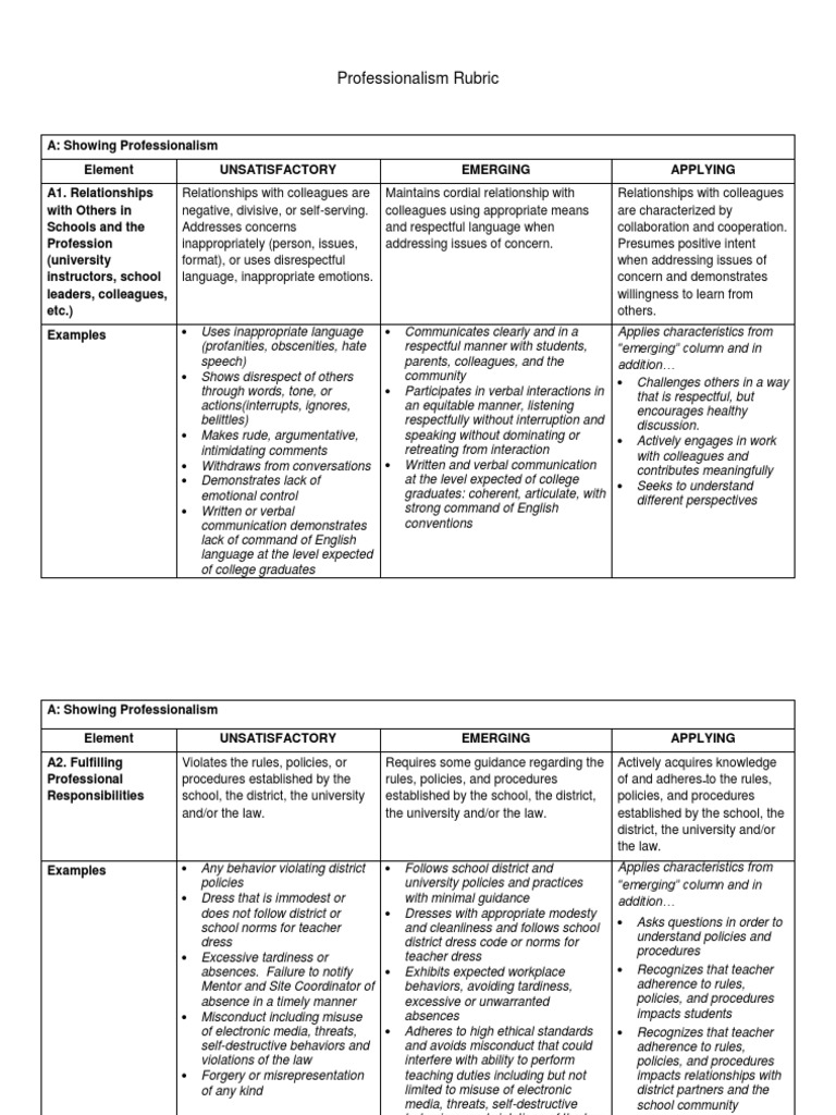 Professionalism Rubric | PDF | Mentorship | Rubric (Academic)