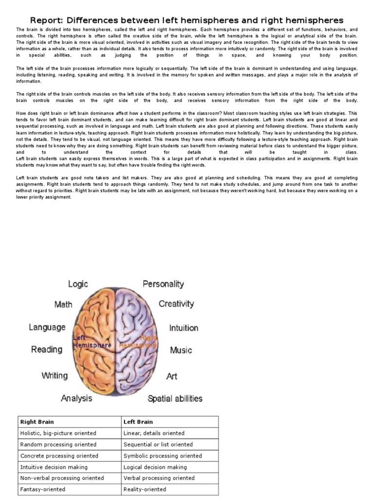 Report: Differences Between Left Hemispheres and Right Hemispheres | PDF | Lateralization Of ...
