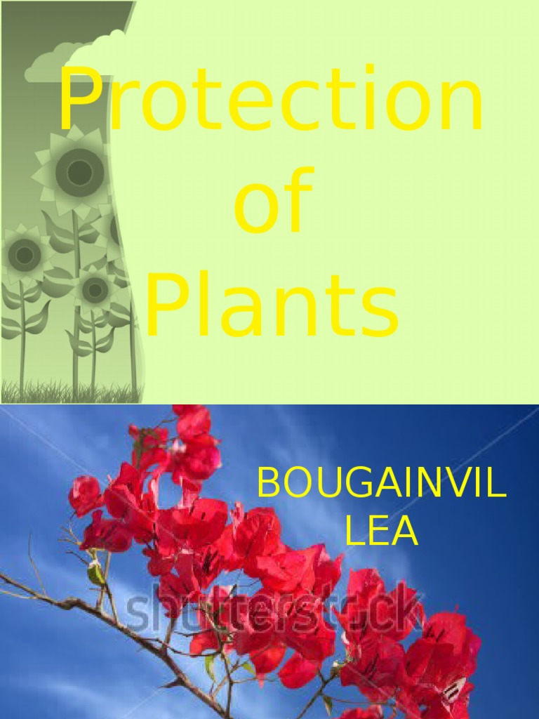 Plants Protection | PDF | Home & Garden | Science & Mathematics