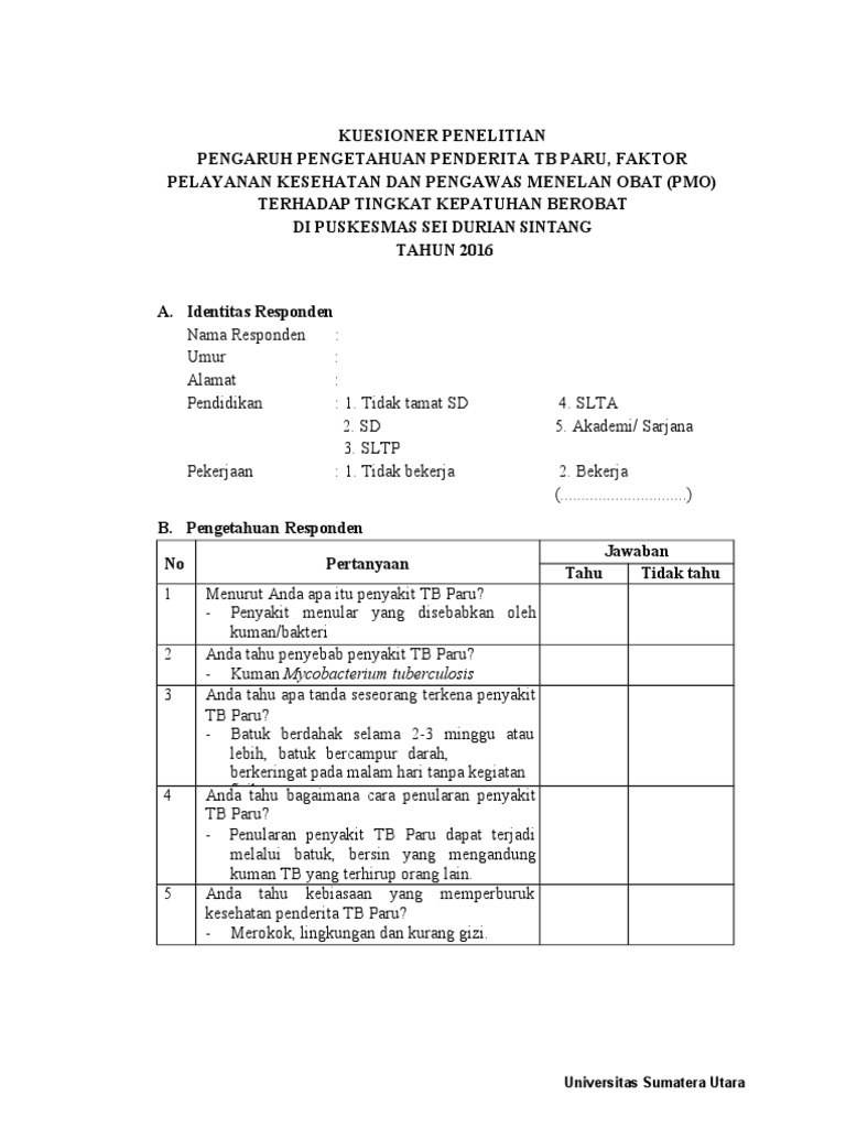Kuesioner Mini Project Internship | PDF