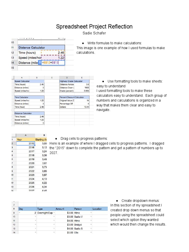 Spreadsheet Project Reflection: Sadie Schafer | PDF | Spreadsheet ...