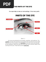 Grade-3-Lesson-7-Parts-of-the-Eye | PDF | Eye | Human Eye