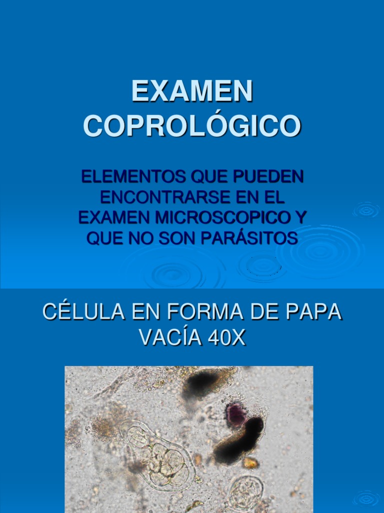 Examen Coprologico 9 | PDF