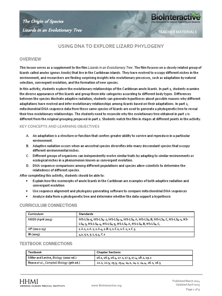 Lizard Phylogeny Teacher | PDF | Phylogenetic Tree | Evolution