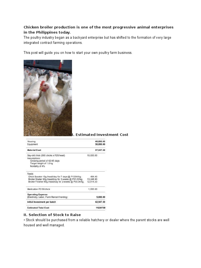 Chicken Broiler Production Is One of The Most Progressive Animal ...