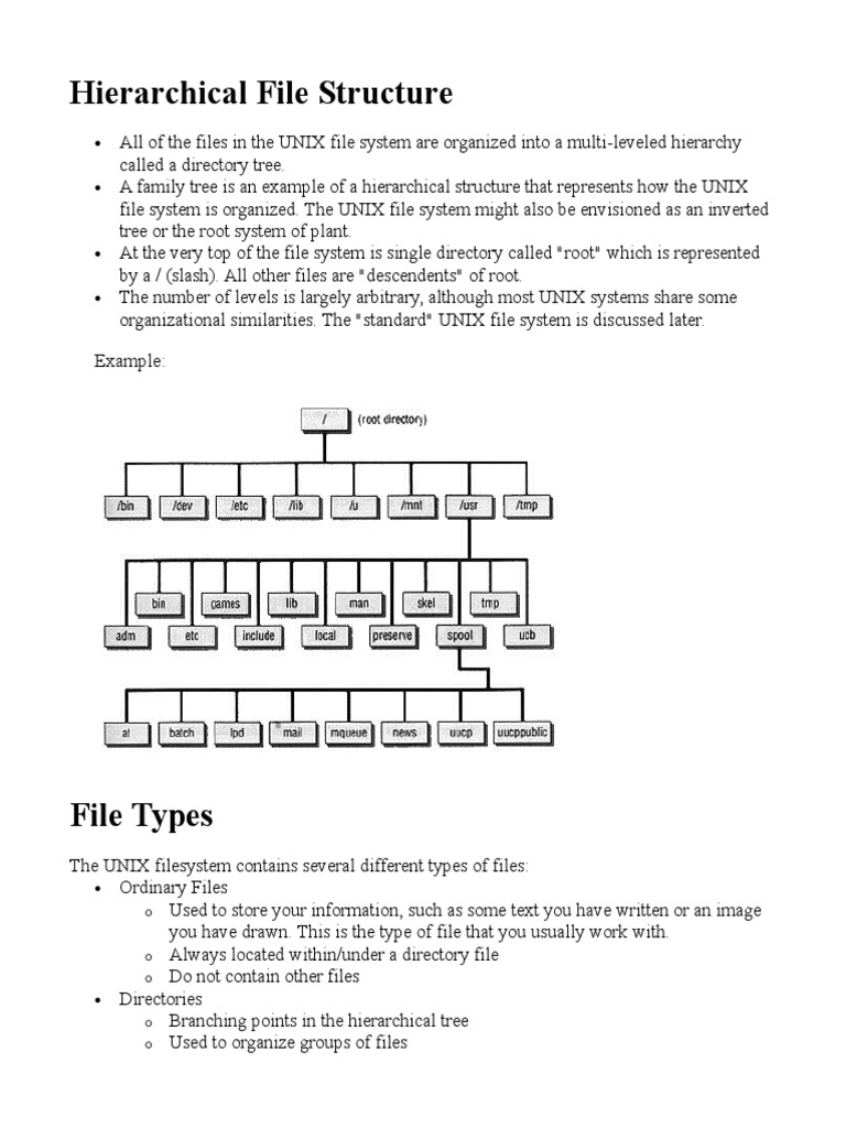 Hierarchical File Structure | PDF | File System | Directory (Computing)