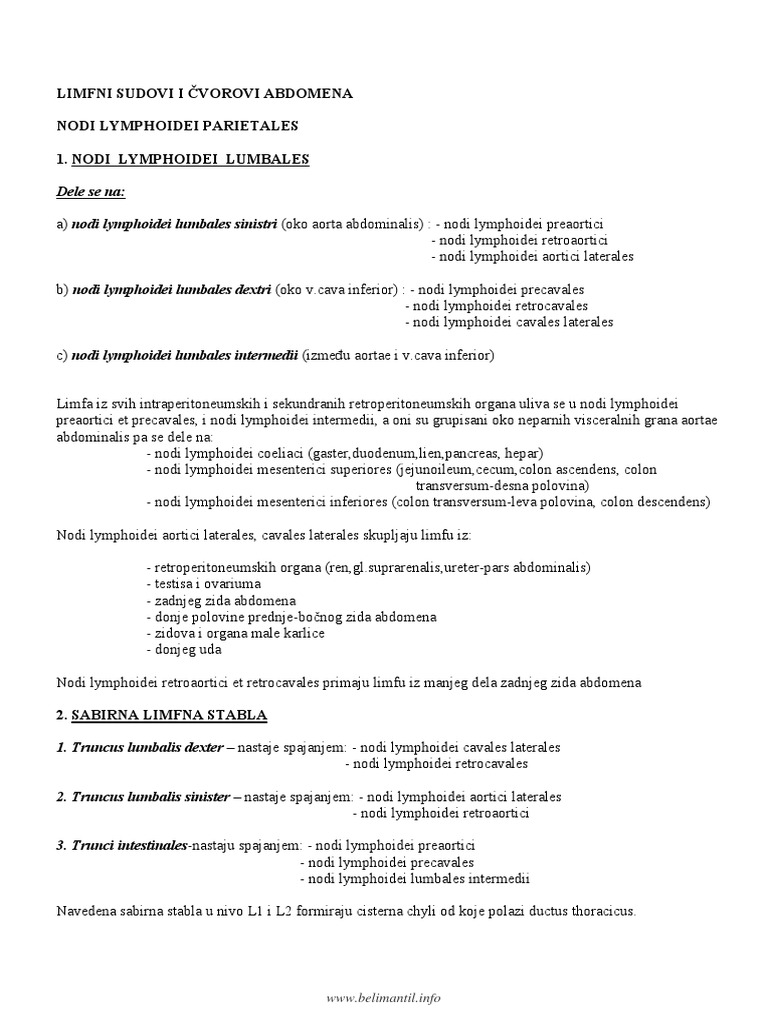 Limfni Sistem Abdomena PDF | PDF