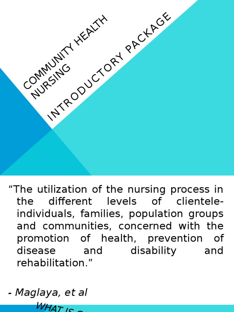 Introduction To Community Health Nursing Exposure | PDF | Nursing ...
