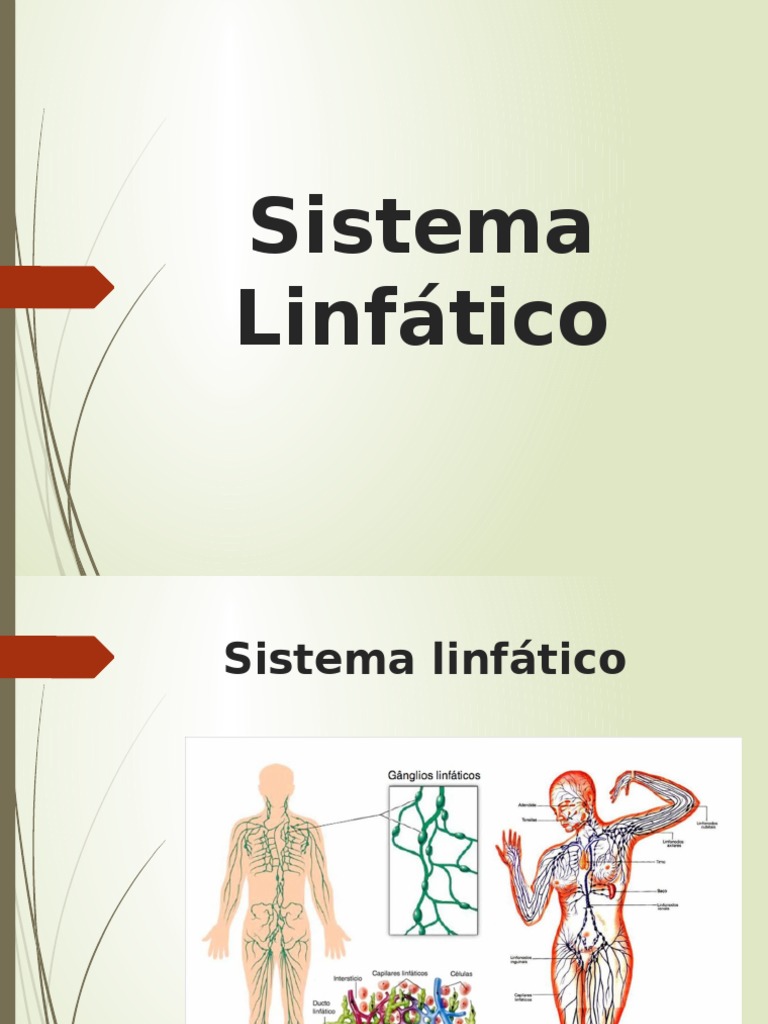 Sistema Linfatico | PDF | Ganglio linfático | Sistema linfático