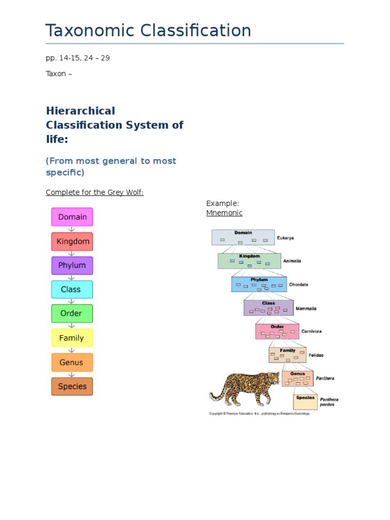 Note - Taxonomic Classification | PDF