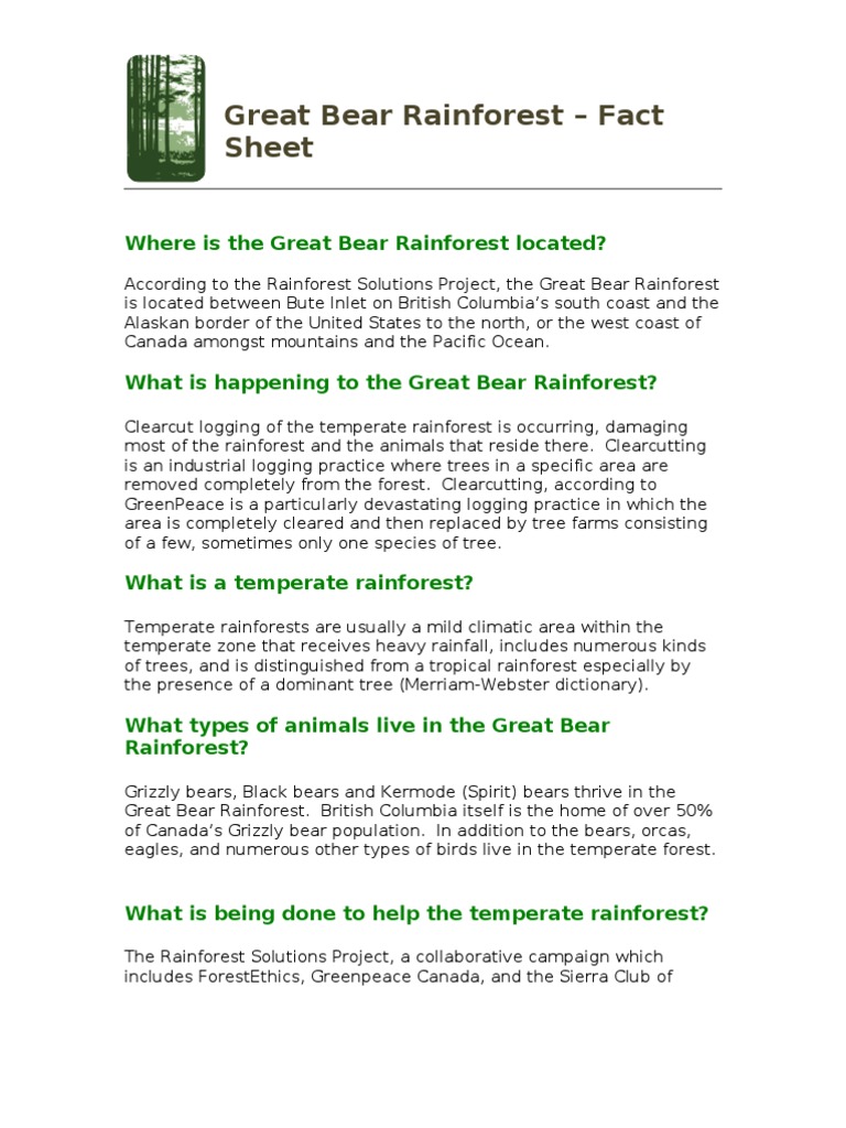 Great Bear Fact Sheet | PDF | Rainforest | British Columbia
