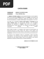 Carta Poder Simple Subir | PDF