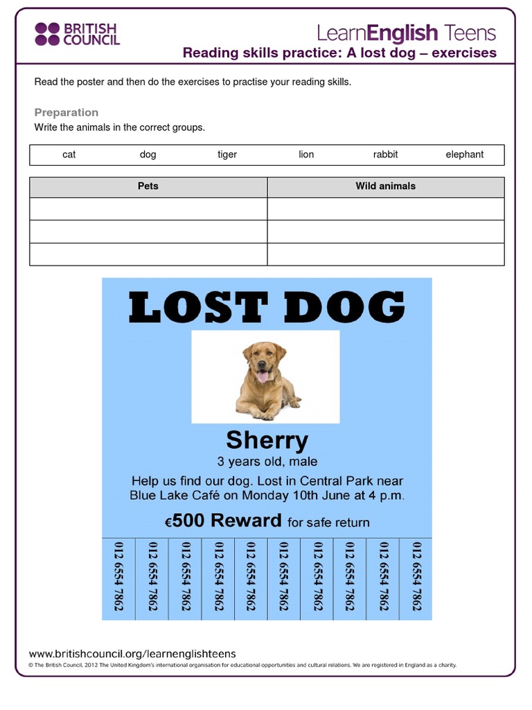 Lost Dog: Sherry's Story | PDF