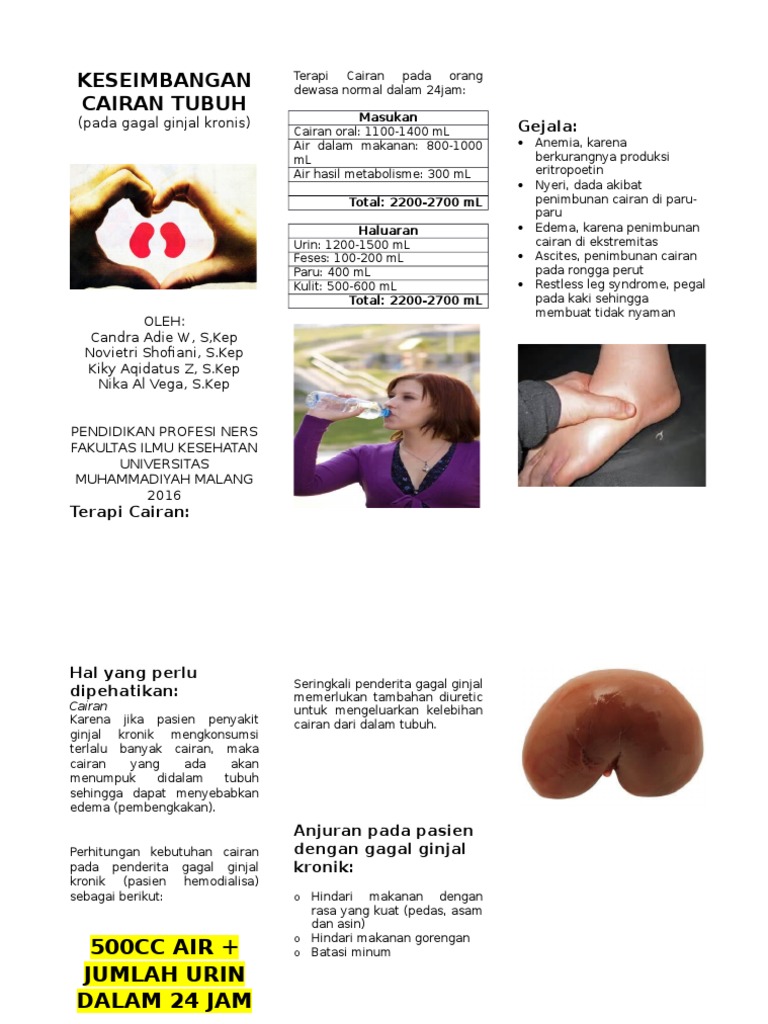 Leaflet Keseimbangan Cairan Pada Pasien CKD | PDF