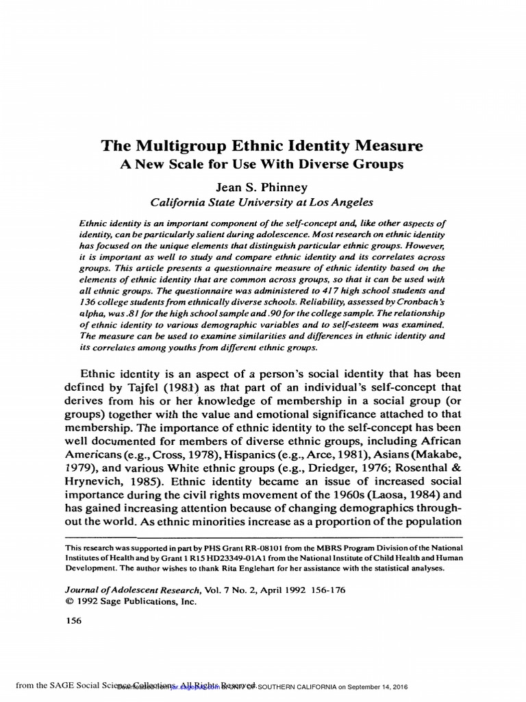 Multigroup Ethnic Identity Measure | Download Free PDF | Identity ...