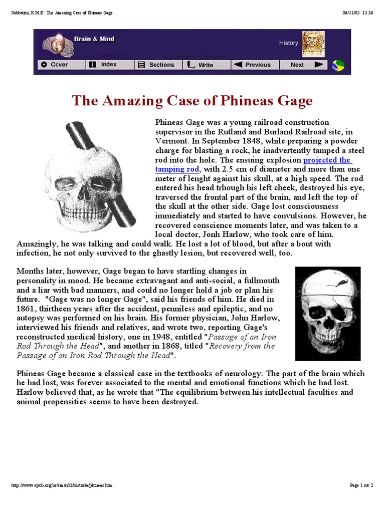 The Amazing Case of Phineas Gage: Projected The Tamping Rod | PDF ...