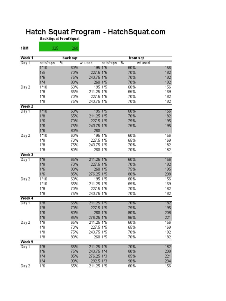 Hatch Squat Program Overview | PDF | Technology & Engineering