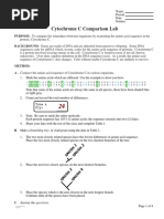 First 1000 Chinese Characters Guide | PDF