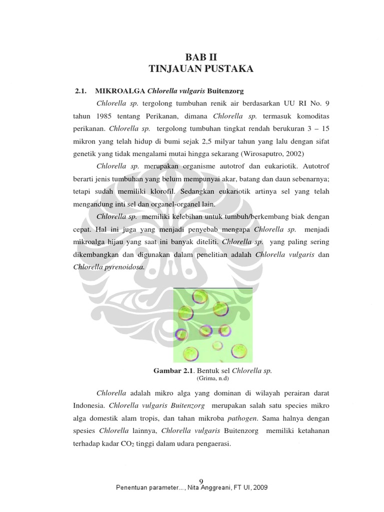 Cara Menghitung KLa PDF | PDF
